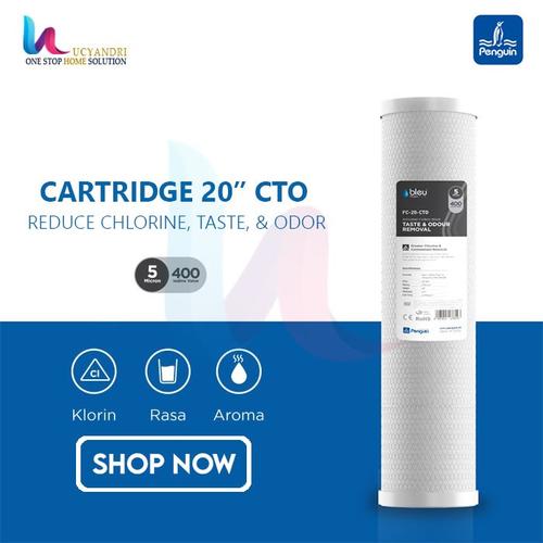 Jual Cartridge Filter Air Penguin 20 CTO Sediment Saringan isi ulang carbon - Packing Standar ...