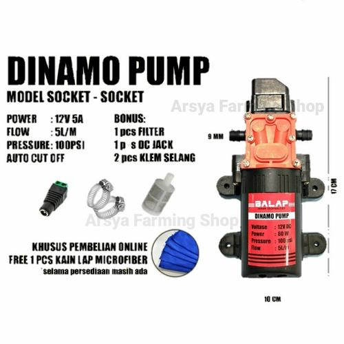 Jual DINAMO PUMP DC 12 V / POMPA AIR CUCI AC MOTOR 100 PSI - Soket ...