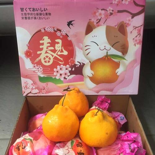 Jual Jeruk Dekopon Papagan Chunjian hampers box - Jakarta Barat - Ari ...