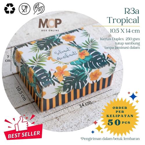 Jual Kotak Kue 10x14 R3a TROPICAL Kotak Jajan Dus Roti Murah Estetik ...