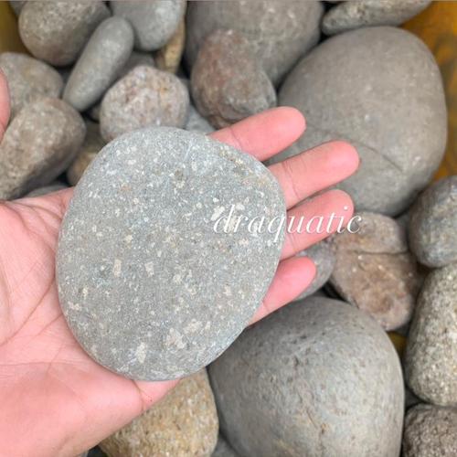 Jual Batu Sungai Kali Coral Hiasan Aquarium Aquascape Paludarium Stone ...