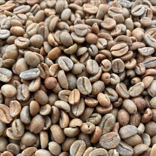 Jual Colombia Jorge Elias Rojas Geisha 2022 Green Beans - Jakarta Barat ...