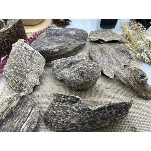 Jual KAYU GAHARU TABII ALAMI TIGER AQUILARIA SUPER/GAHARU OUD AGARWOOD ...