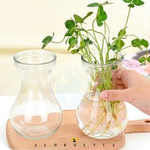 Jual VAS BUNGA KACA BENING | VAS KACA BALON | VAS KACA BULAT | POT ...