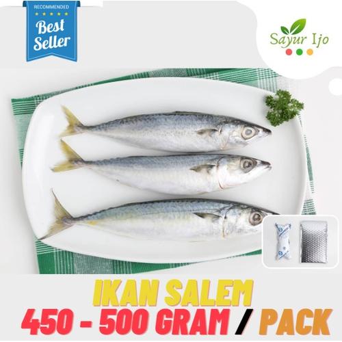 Promo Ikan Salem 450 - 500 Gram / Pack Fresh Frozen Fish Seafood Laut ...