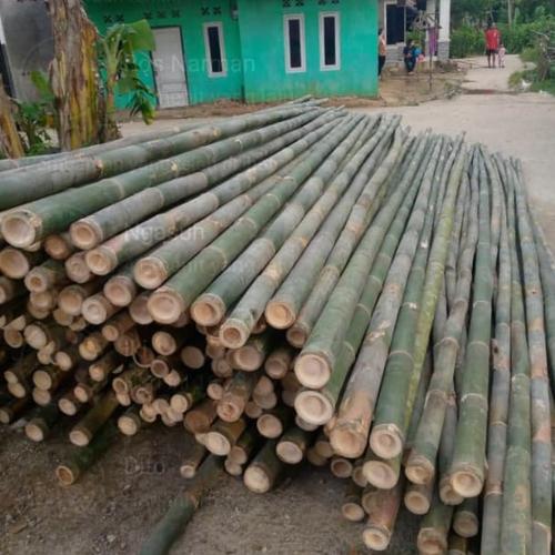 Jual Bambu steger ukuran 7.8.9 panjang 6 meter - Kab. Lebak - UD.JMP ...