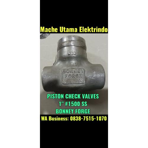 Jual PISTON CHECK VALVE 1 " 1500# SOCKET WELD BODY - DG CHERO, BONNEY ...