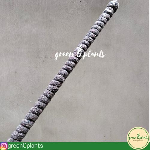 Jual Turus Karpet Lilit Besi Greenoplants - Panjang 180cm - Kota ...