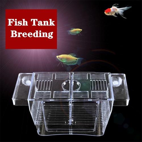 Jual ORIGINAL Breeding Box Kotak Pemisah Karantina Ikan Cupang Guppy ...