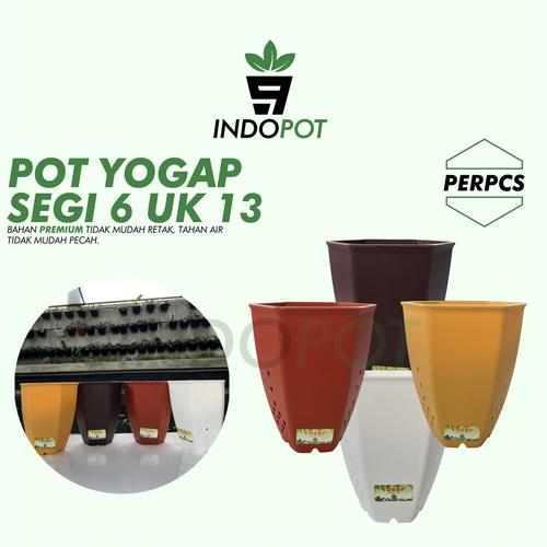 Jual pot yogap segi 6 yp 6 ukuran 13 pot bunga sansivera pot tinggi ...