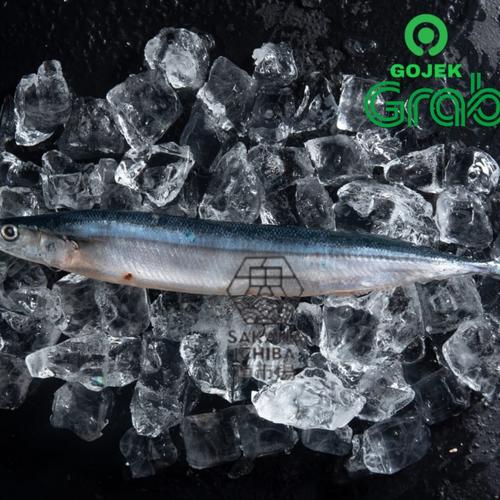 Jual Frozen ikan sanma pacific saury - 1kg - Kota Bekasi - JOGASHIMA ...