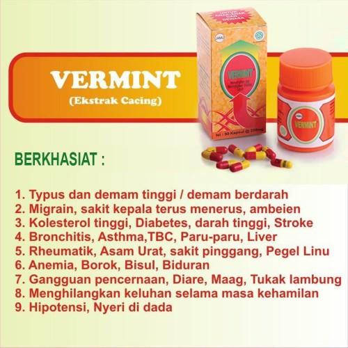 Jual VERMINT 12 Kapsul Ekstrak Cacing Tanah Obat Tipes Typus Tipus ...