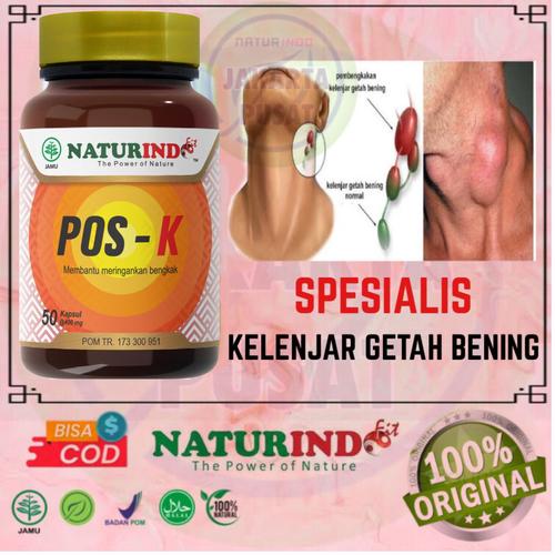 Jual Obat Herbal Benjolan Leher Hernia Gondok Amandel Ampuh Pos K Naturindo - POS K - Jakarta ...
