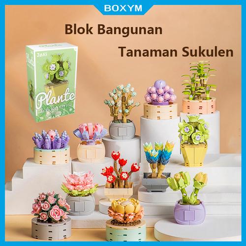 Jual Pot Sukulen Bunga DIY Mini Flower Block /Mainan Kreatif Ruang ...