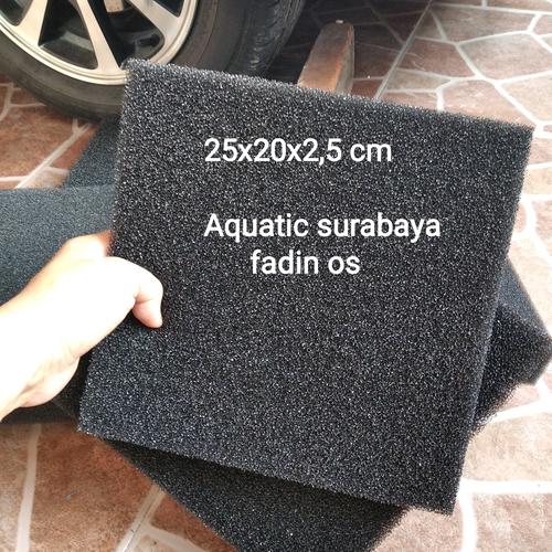 Jual Biofil Biofoam Biosponge Busa Hitam Filter Aquarium Kolam 25x20x2 ...