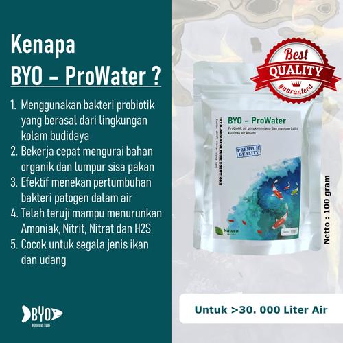 Jual BYO ProWater - Probiotik Air / Kolam (Bakteri Starter Filter ...