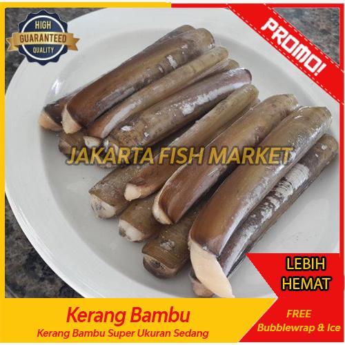 Jual Kerang Bambu Segar - Kerang Bambu 1kg (bamboo clams) - Kerang ...