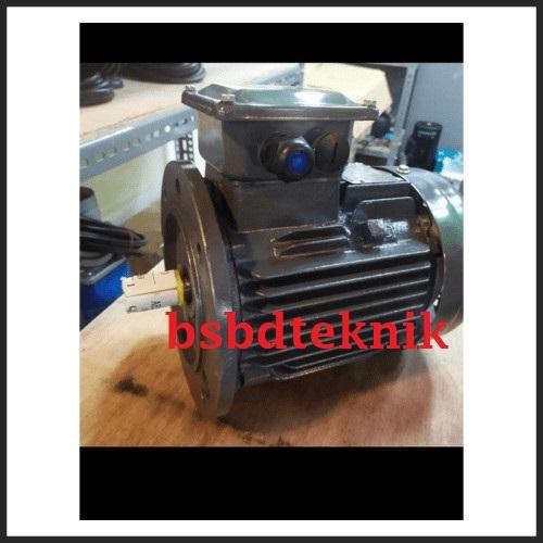 Jual Elektro Motor AC Teco AESU1S 3.7Kw 5Hp 1450rpm 3phase 50Hz B5 - Jakarta Barat - Putra Bumi ...