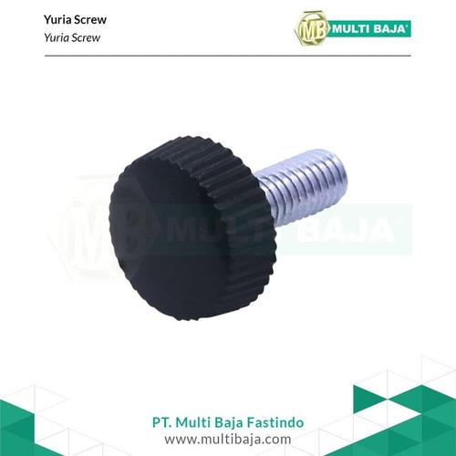 Jual Yuria Screw Besi M5 x 22 - Jakarta Barat - Multi Baja Fasteners ...