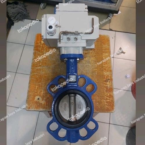 Jual Butterfly Valve Cast Iron + Motorized Electric Actuator 2" Inch ...