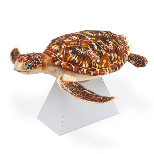 Jual 3D Papercraft Penyu Laut Kura-Kura Pola Kertas DIY - BC/Manila ...