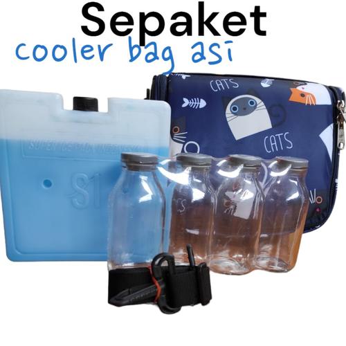 Jual Cooler Bag Tas Asi SEPAKET cooler bag - Botol Asi - ice gel pack ...