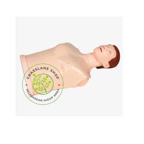 Jual Alat Peraga Manekin Basic CPR Half Body Phantom CPR GL 8404A ...