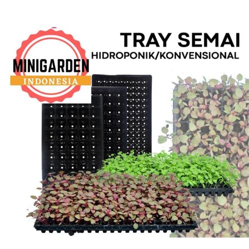 Jual TRAY SEMAI BIBIT seeding tray pot hidroponik penyemaian KHUSUS ...