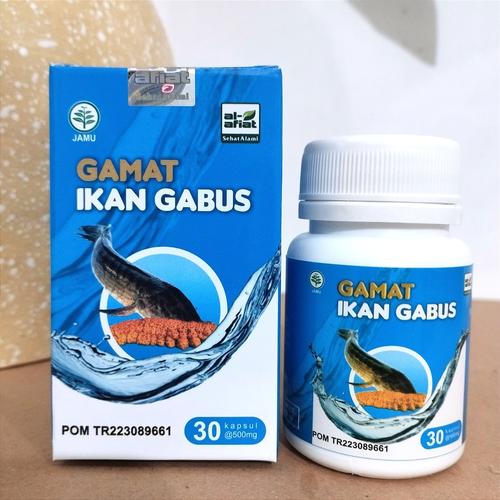 Jual Kapsul Ikan Gabus plus Gamat Ampuh Untuk Obat Diabetes - Kab ...