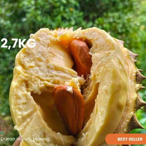 Jual Durian montong utuh Cane Singaraja Bali 2,7kg - Kota Malang ...