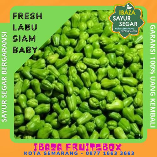 Jual Labu Siam Baby / Labu Siam Muda Sayur Segar IBAZA fruitsBOX - 250 ...