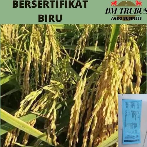 Jual Benih padi Ketan Grendel Unggul Bersertifikat BIRU - Kab. Bekasi ...