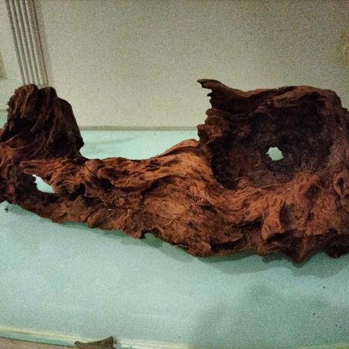 Jual Kayu Rentek XL (40x20cm) Hiasan Aquarium - Jakarta Barat ...