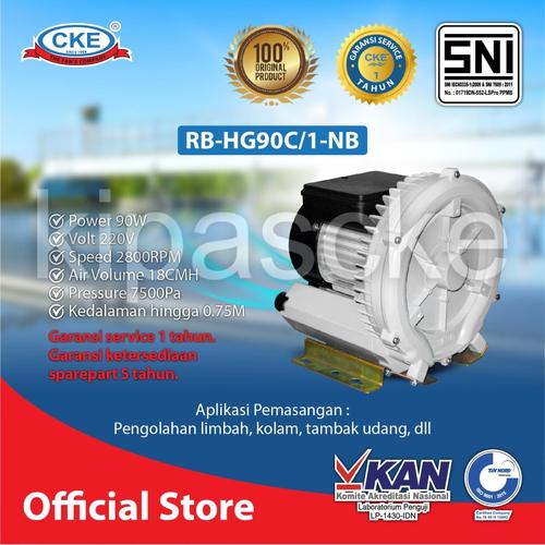 Jual RING BLOWER CKE TYPE RB-HG90C/1 90Watt /1PHASE 220VOLT - Kota ...
