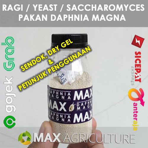 Jual Ragi Yeast Jamur Saccharomyces Sakaromises pakan instant daphnia ...