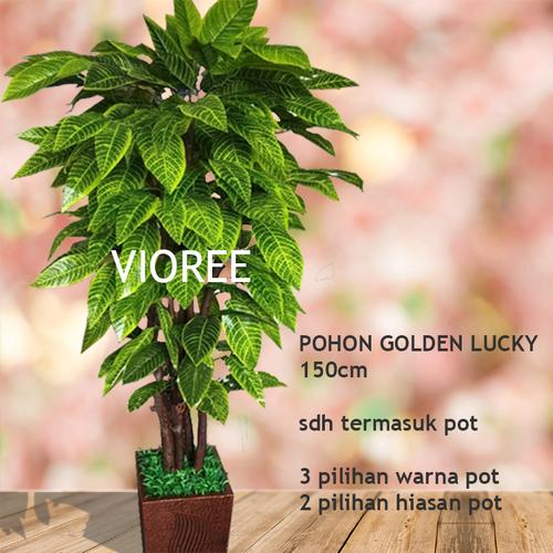 Jual !150 Pohon Plastik Besar 150cm golden Lucky Tanaman Hias ...