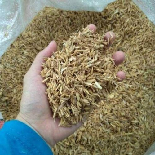 Jual Sekam padi mentah gabah padi kulit padi skam arang media tanam 1kg ...