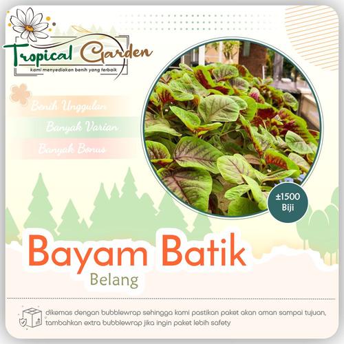 Jual Benih Bayam Belang Bayam Batik Hibrida F1 - Kab. Kediri - Tropical ...