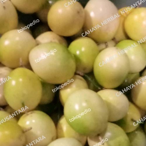 Jual Buah markisa matang segar per 500g (obat herbal) - Kab. Bandung ...