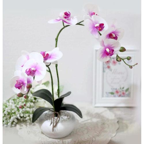 Promo bunga artificial plastik hias anggrek PREMIUM LATEX + pot keramik ...