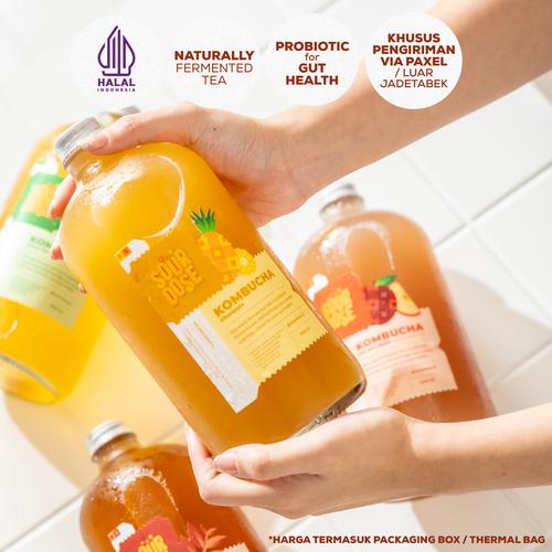 Jual [LUAR JADETABEK] Kombucha 1000ml - 2 Bottle + Extra Pack | by ...
