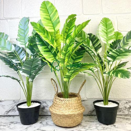 Jual Pohon Daun Musa Florida X18 Semi Latex Artificial Cover Purun ...