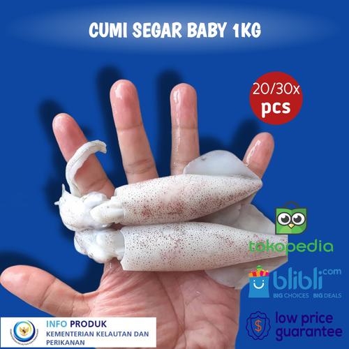 Jual Baby Cumi Segar 1Kg - Kota Tangerang - PT RIVEL FOOD INDONESIA ...