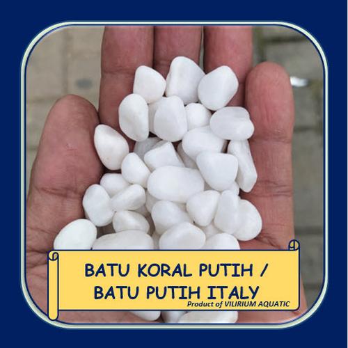 Jual ORNAMEN AQUASCAPE - BATU CORAL PUTIH / BATU ITALY PUTIH - ±1kg ...