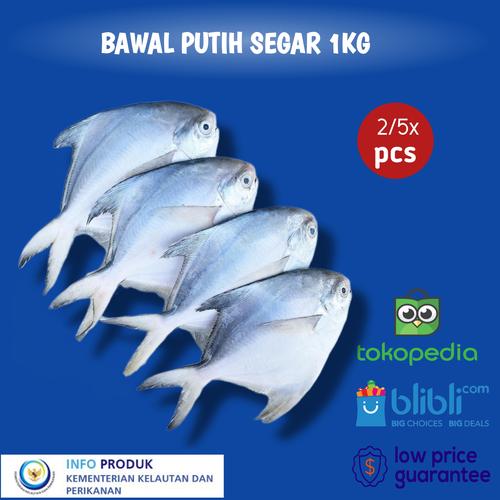 Jual Ikan Bawal Putih Segar Besar 1kg isi 2-6 Ekor - Kota Tangerang ...