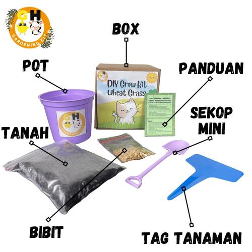 Jual Mainan Edukasi Montessori DIY Berkebun Souvenir Grow Kit Rumput ...