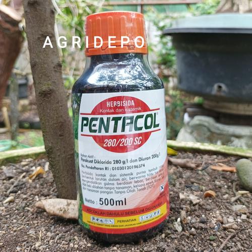 Jual PENTACOL 500ML Herbisida Kontak Sistemik Basmi Rumput Cepat ...