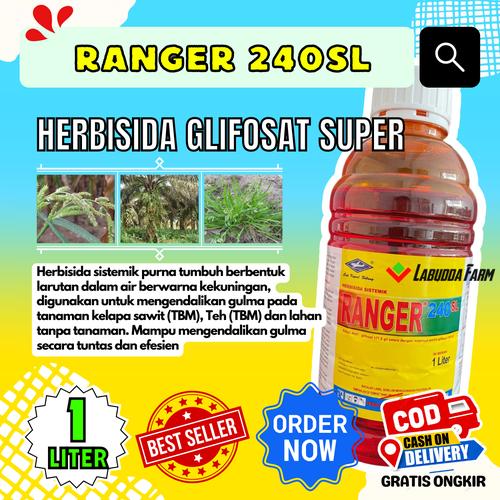 Jual Obat Rumput Ranger 240SL 1 Liter Herbisida Glifosat Super Basmi ...