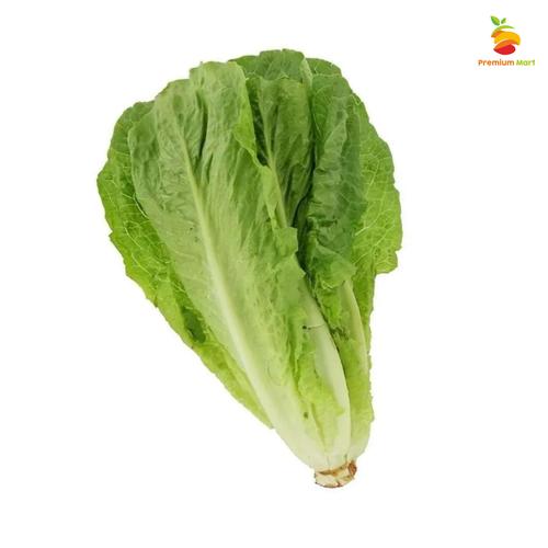 Jual Fresh Sayur Romaine Lettuce/Selada Romain - Kota Semarang ...