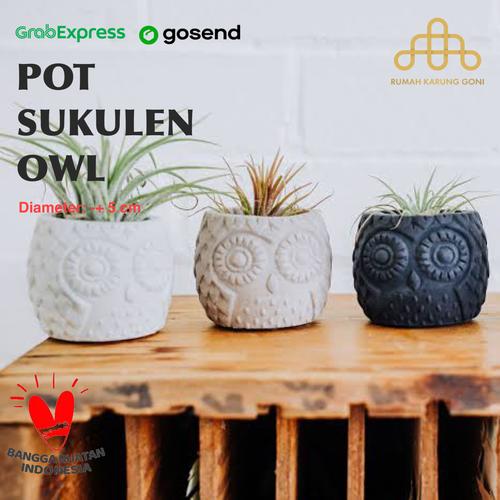 Jual Pot Semen Mini Bentuk Burung Hantu Owl - Pot Sukulen Kaktus Mini ...